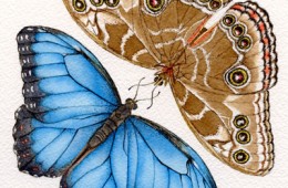 Jessica M. Lopez | Illustration