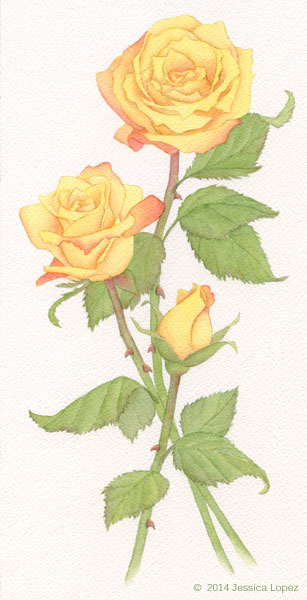 Jessica M. Lopez | Illustration